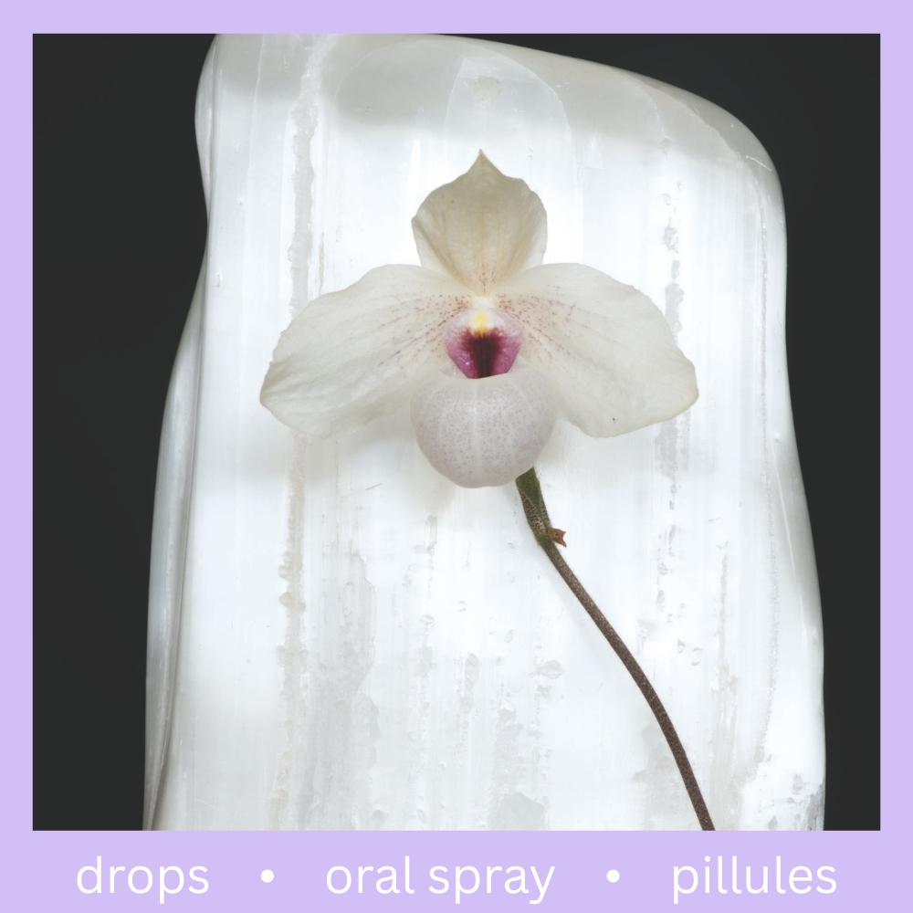 Element Essences – Healing Orchids