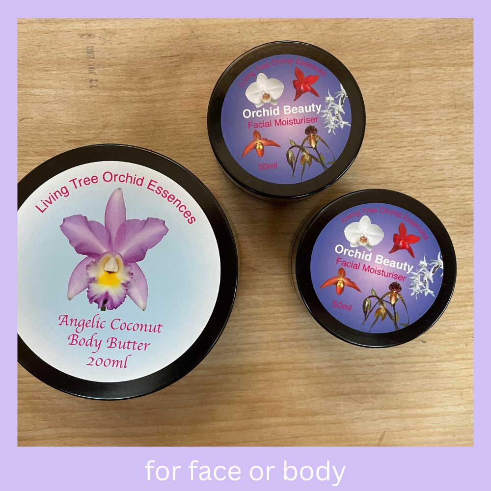 Face & Body Creams – Healing Orchids